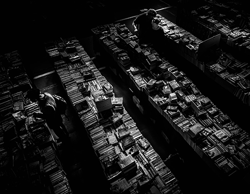 Visitez notre galerie photos ! - Les Arvernes